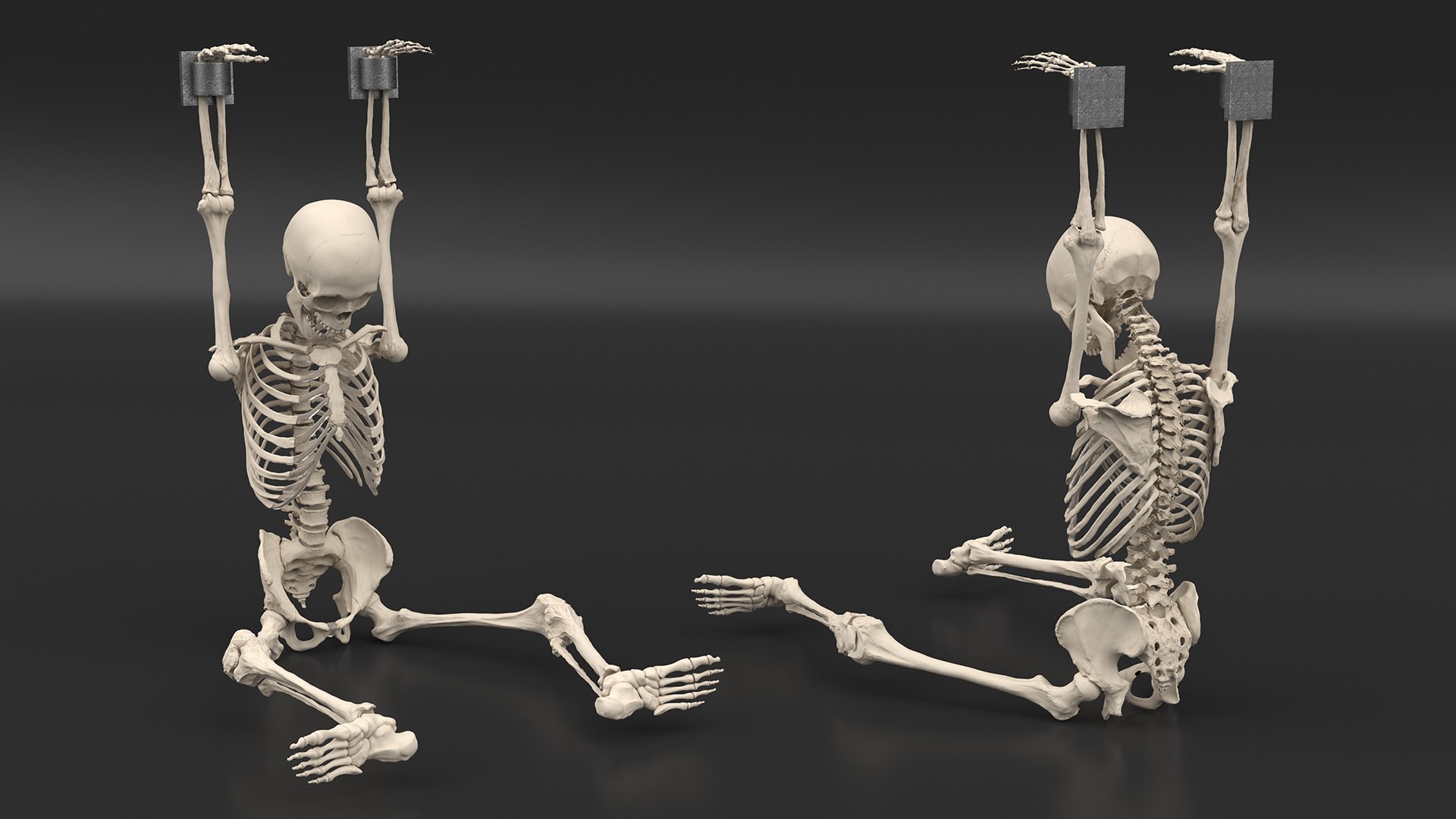 3D Prison Space with Male Skeleton Collection model - TurboSquid 2181262