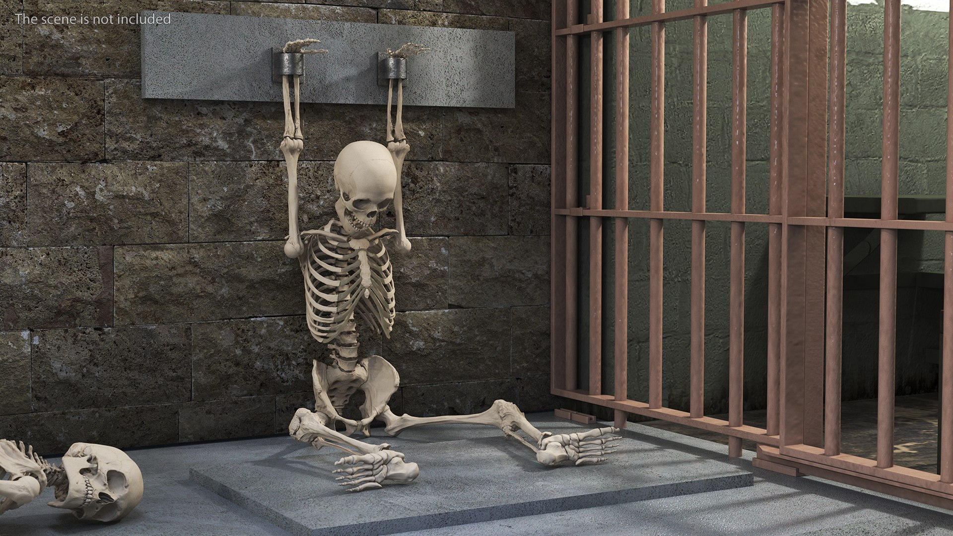 3D Prison Space with Male Skeleton Collection model - TurboSquid 2181262