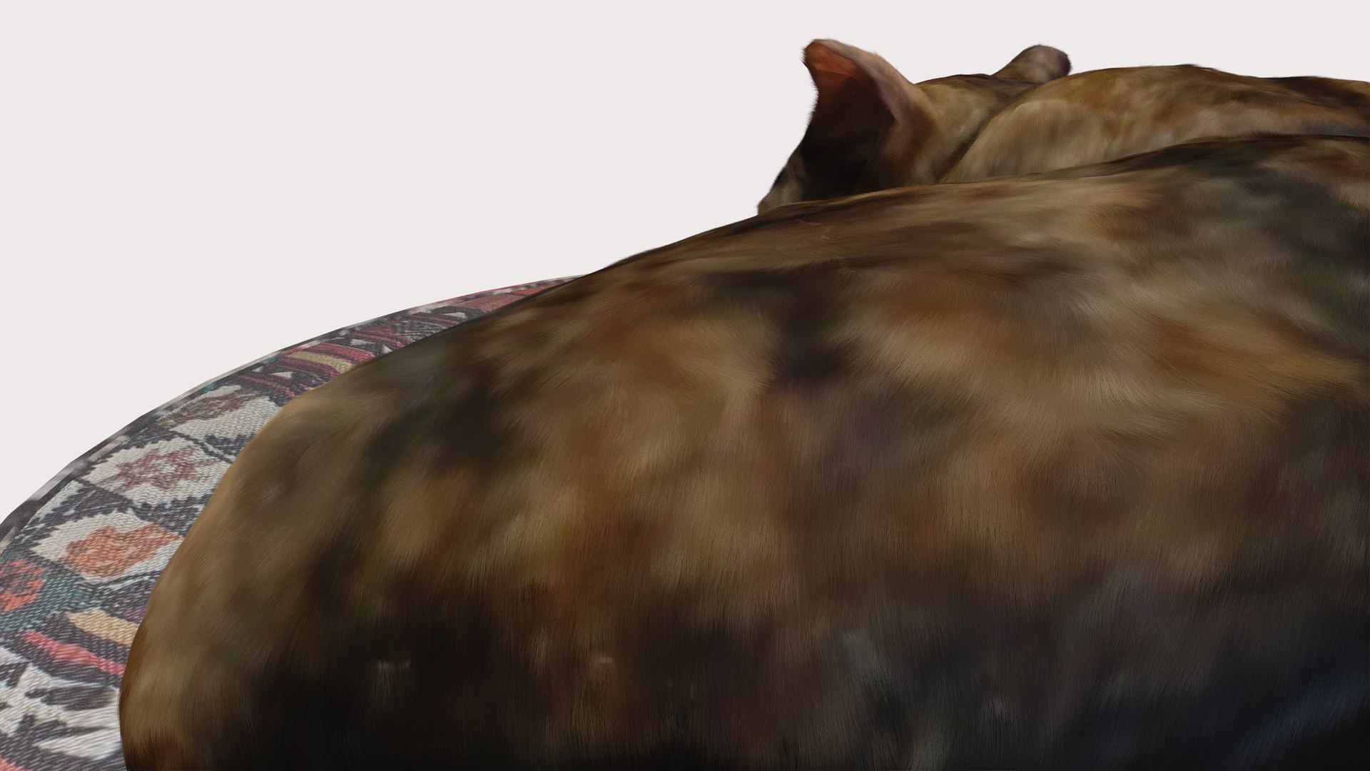 Realistic Breathing Cat 3D - TurboSquid 1913580