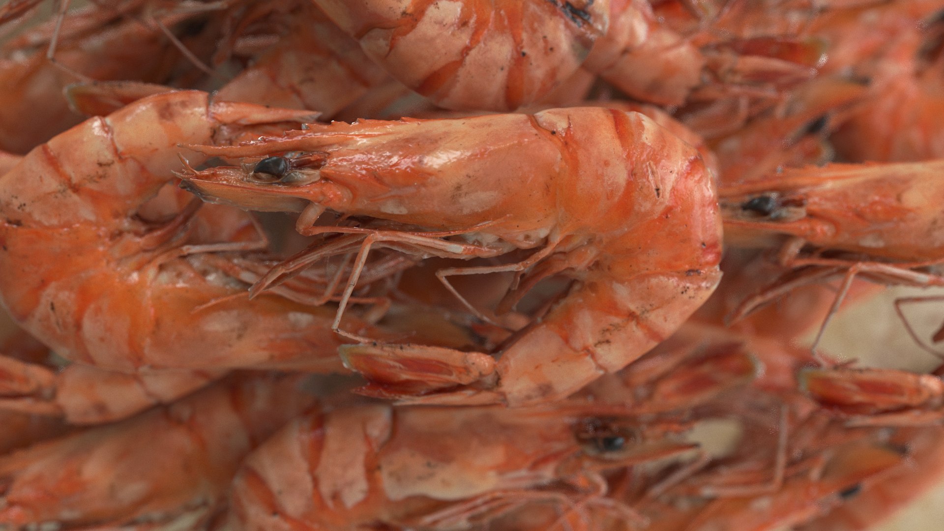 3D Cooked Tiger Prawn Model - TurboSquid 1571984