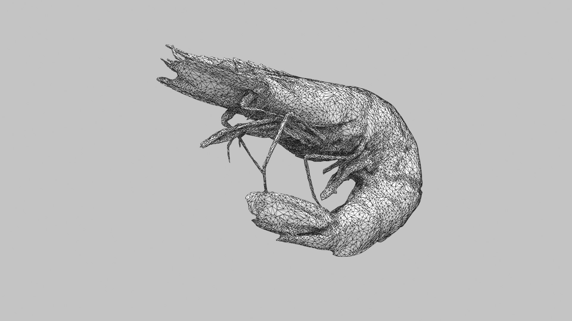 3D Cooked Tiger Prawn Model - TurboSquid 1571984