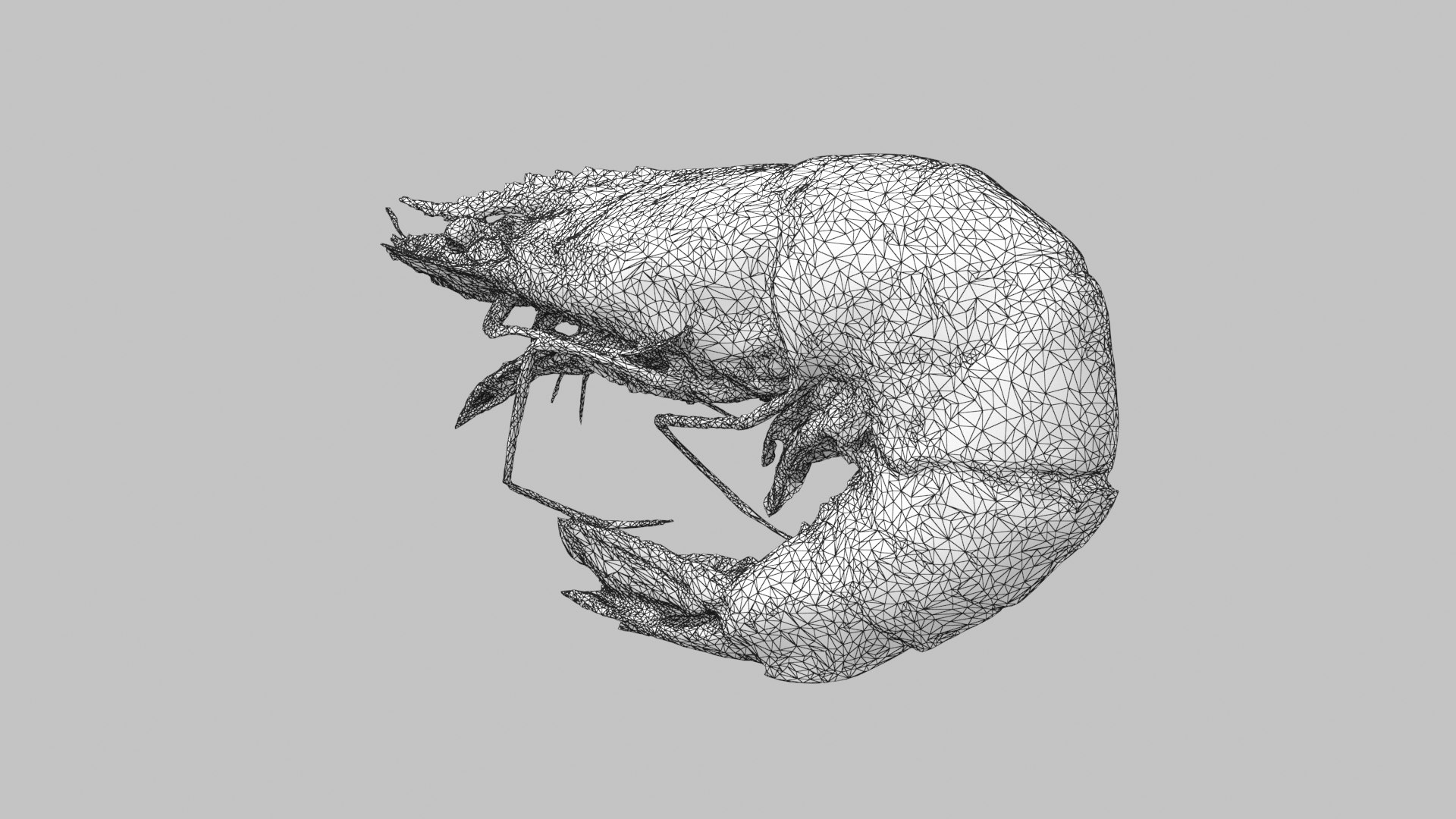 3D Cooked Tiger Prawn Model - TurboSquid 1571984