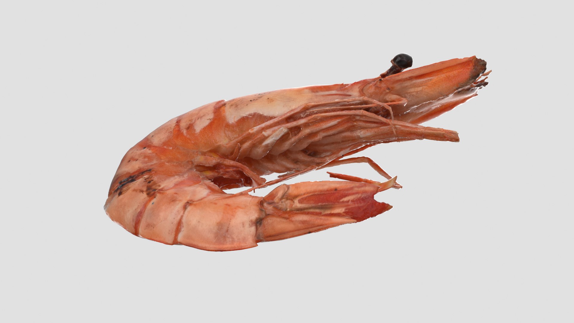 3D Cooked Tiger Prawn Model - TurboSquid 1571984
