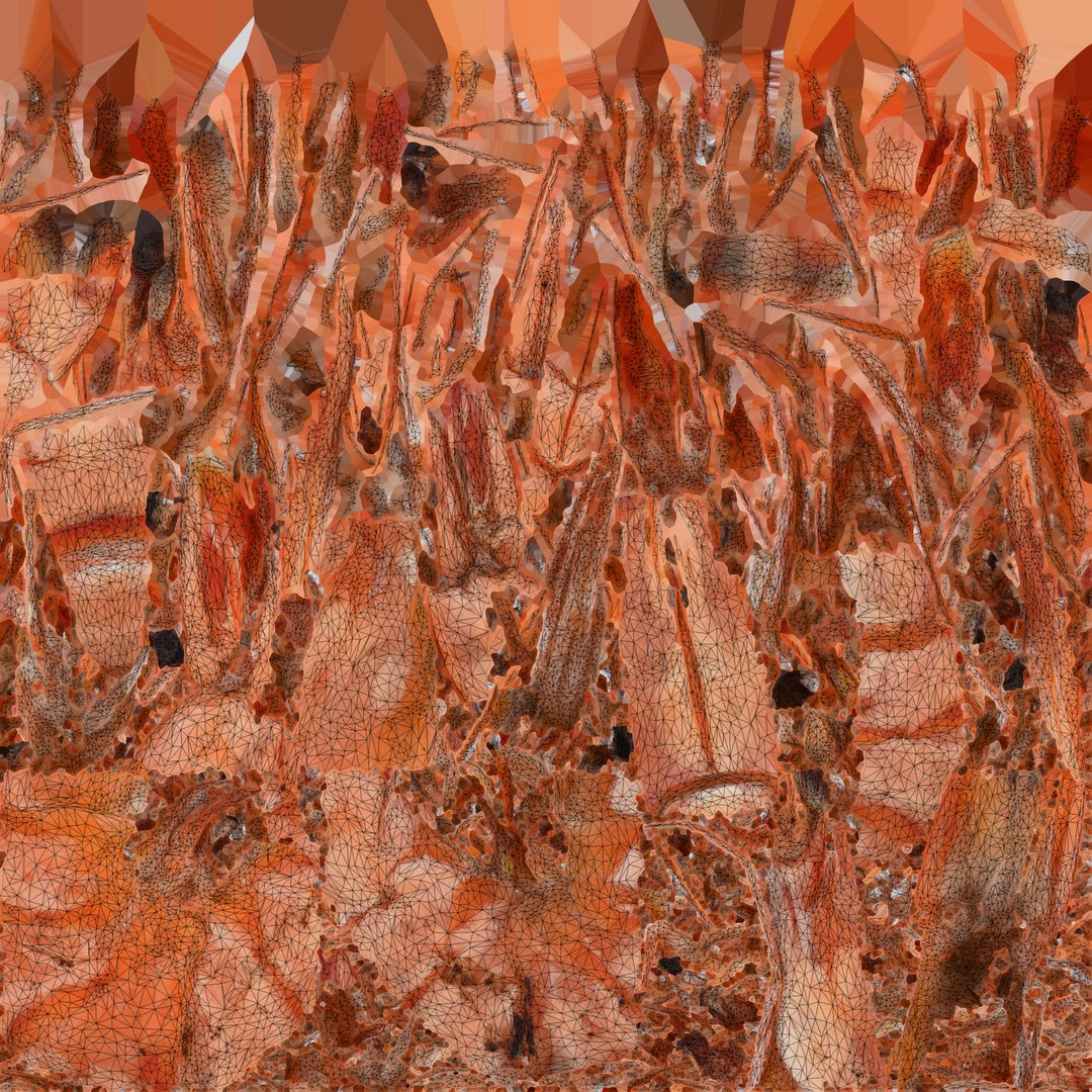 3D Cooked Tiger Prawn Model - TurboSquid 1571984