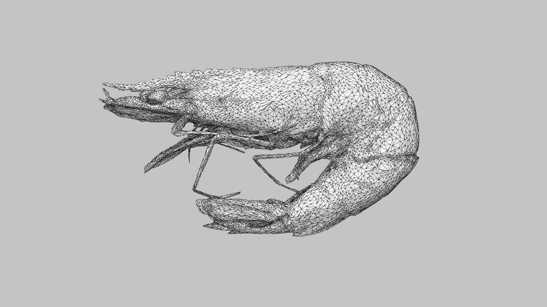 3D Cooked Tiger Prawn Model - TurboSquid 1571984