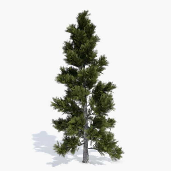 3d max pine tree