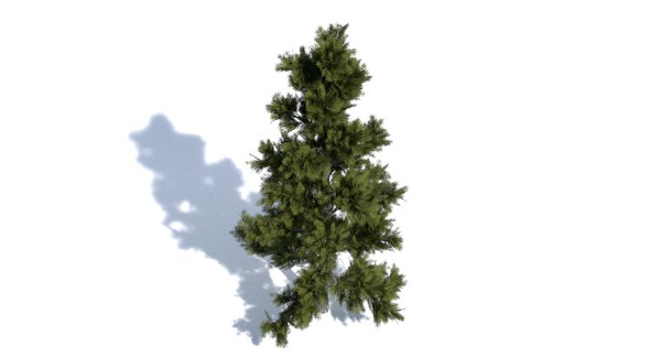 3d max pine tree