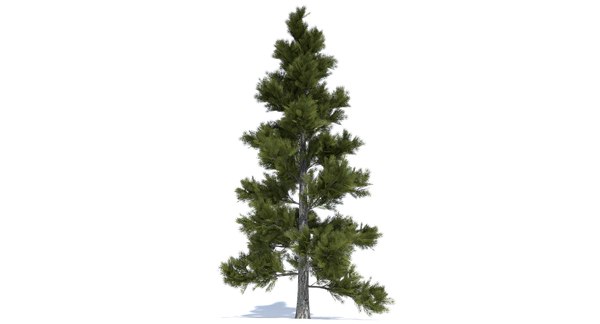 3d max pine tree