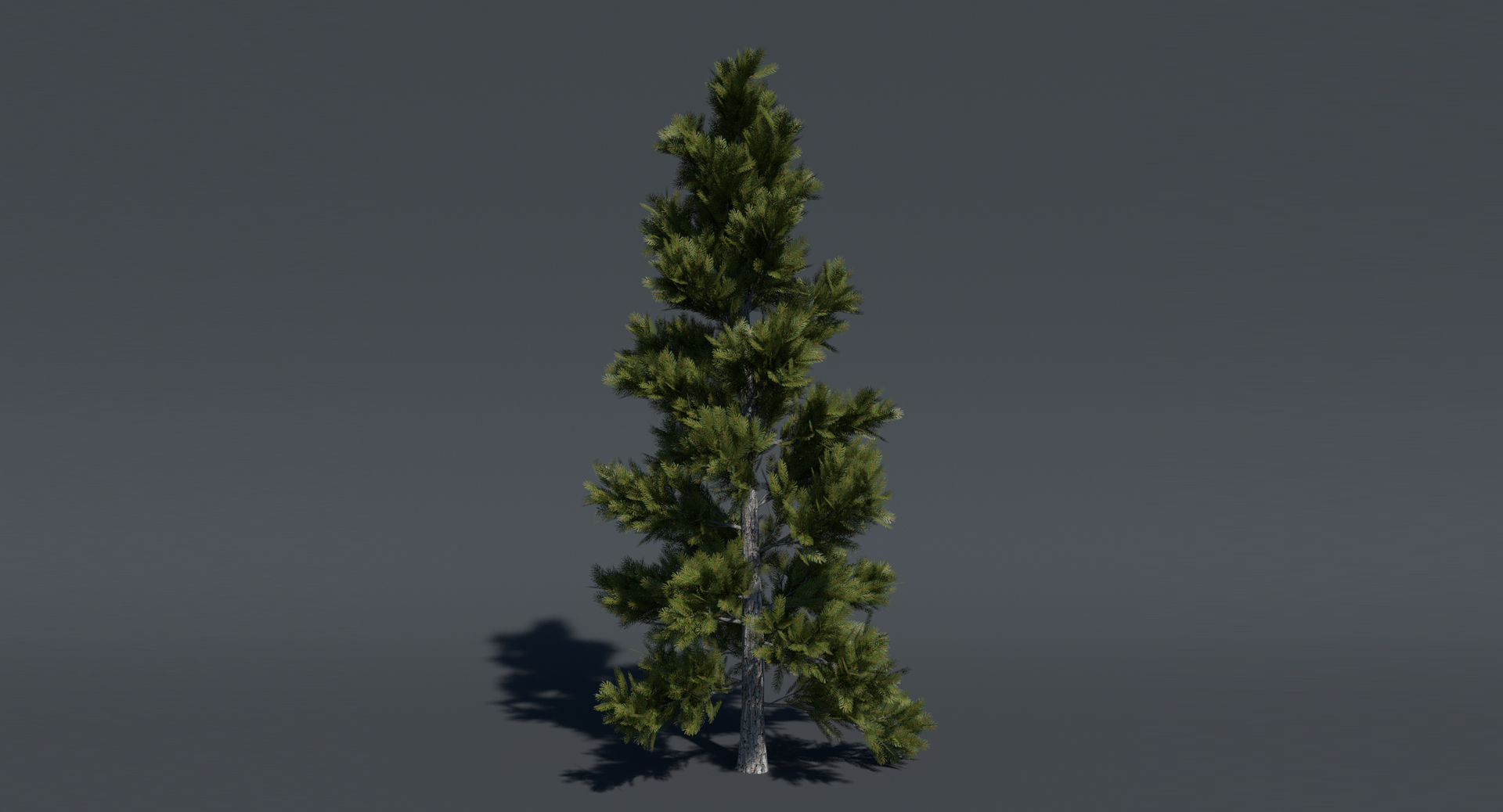 3d max pine tree
