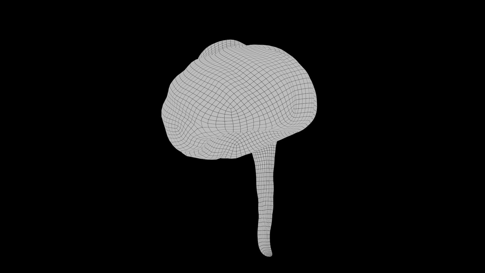 3D Turban Model - TurboSquid 2351850