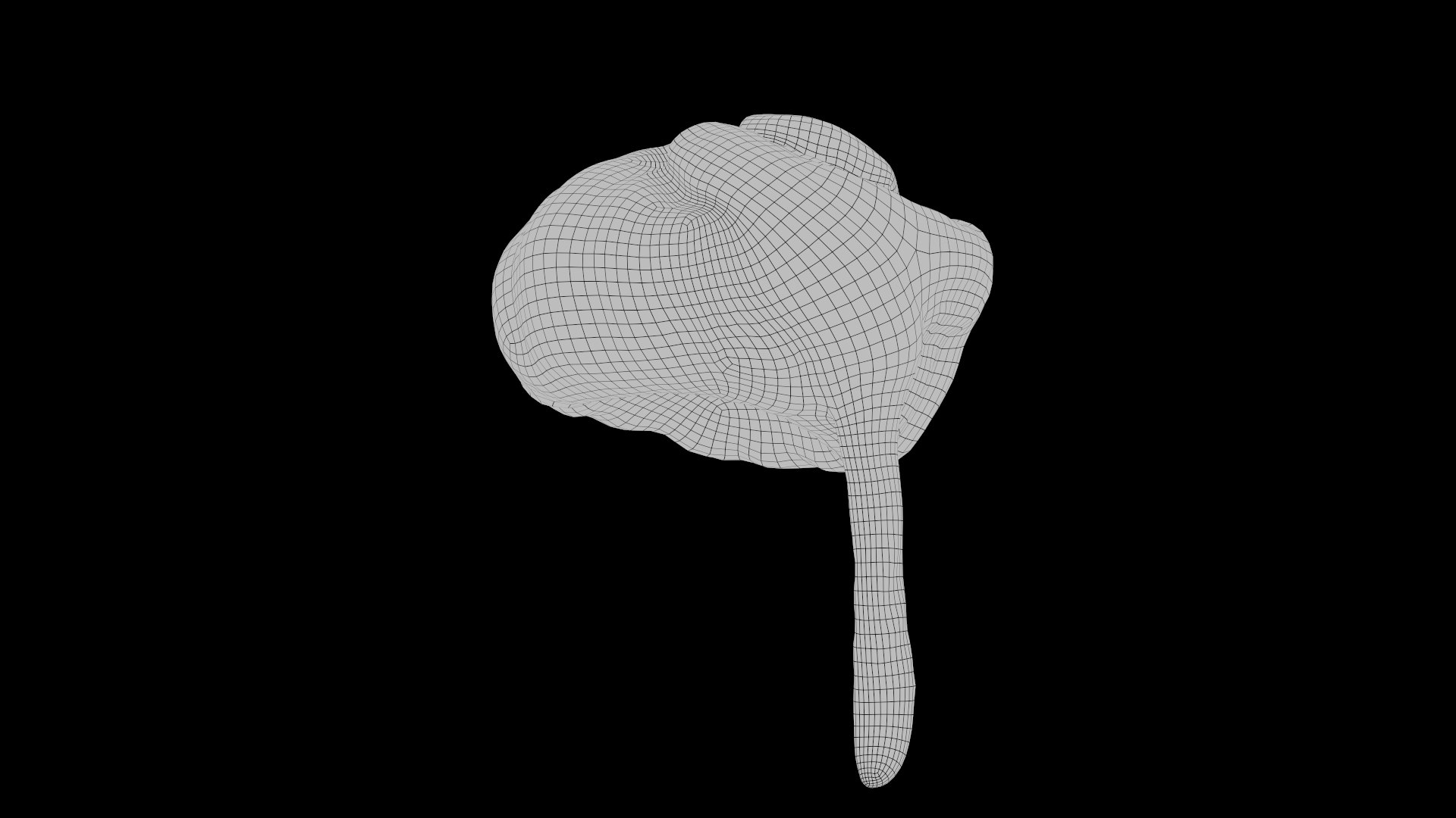 3D Turban Model - TurboSquid 2351850