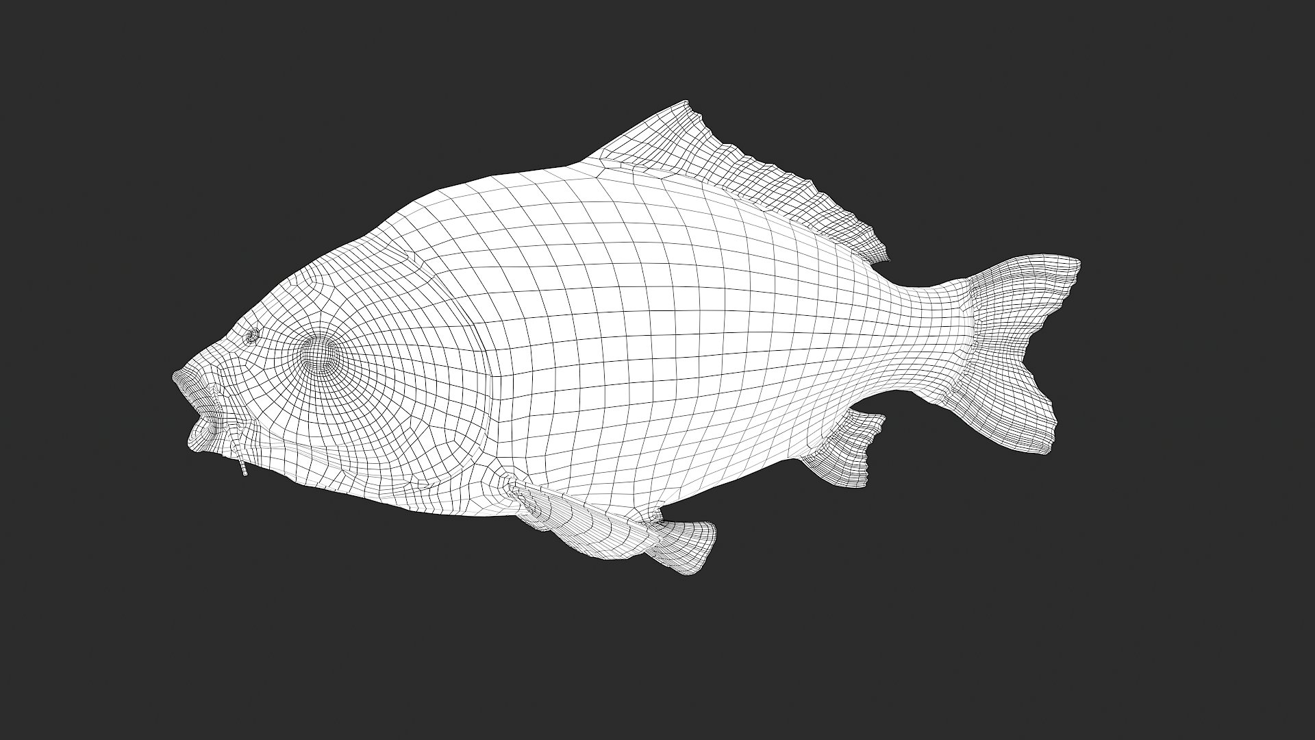 Carp Fish Fins 3D Model - TurboSquid 1445484