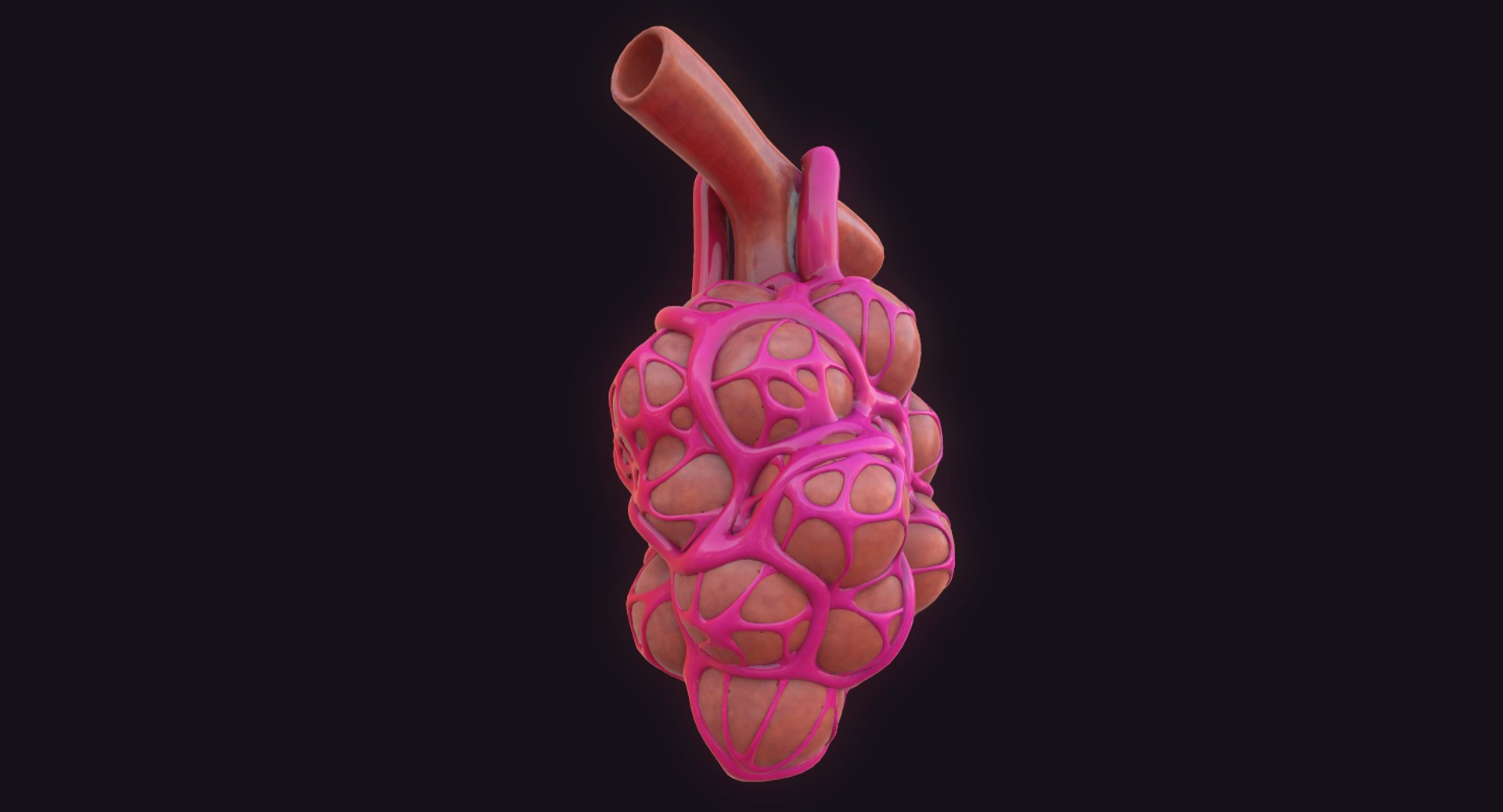 3D Model Lung Pulmonary Alveoli - TurboSquid 1424604