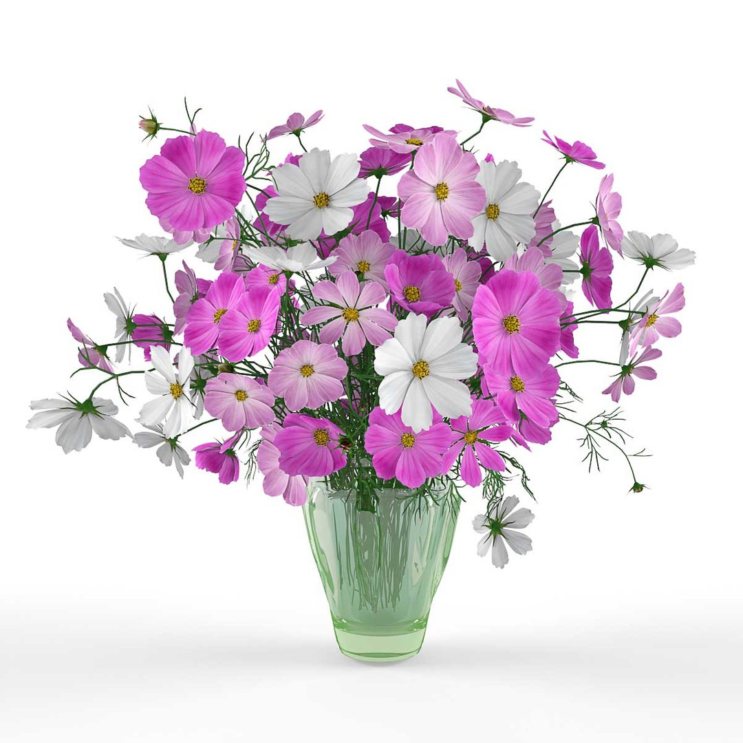 3d Model Bouquet Cosmos Flowers