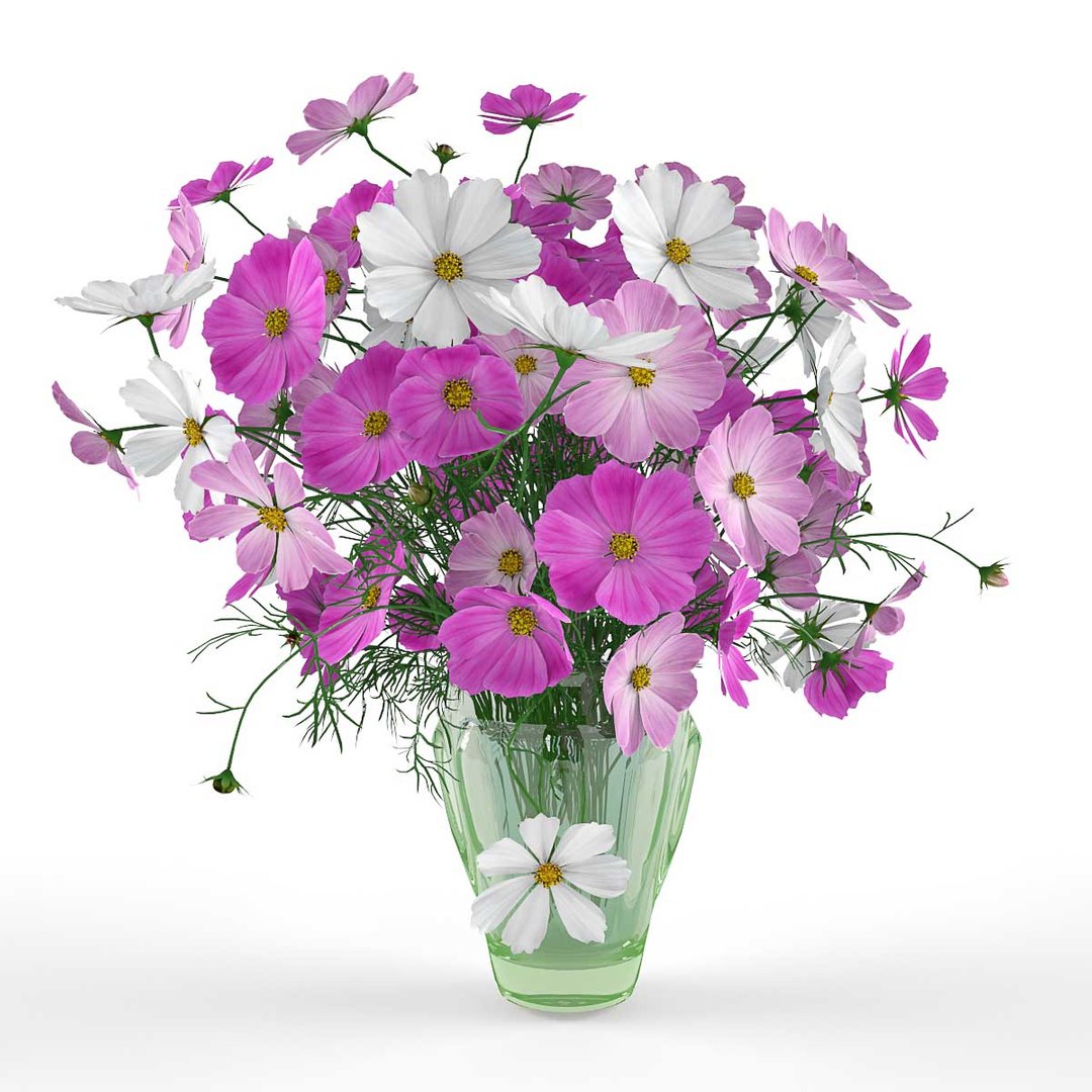 3d Model Bouquet Cosmos Flowers