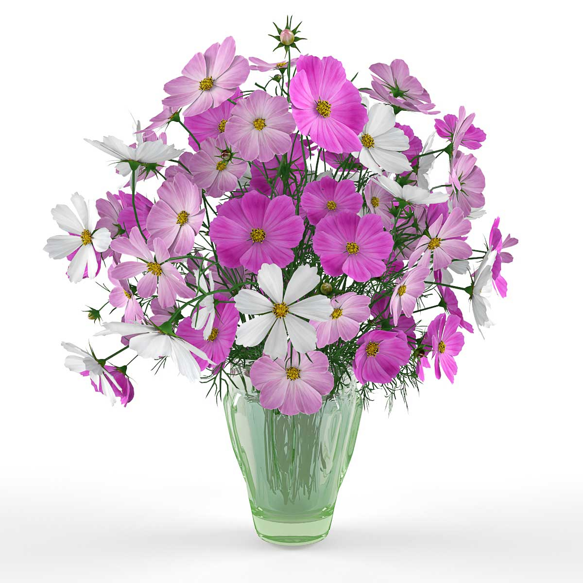 3d model bouquet cosmos flowers