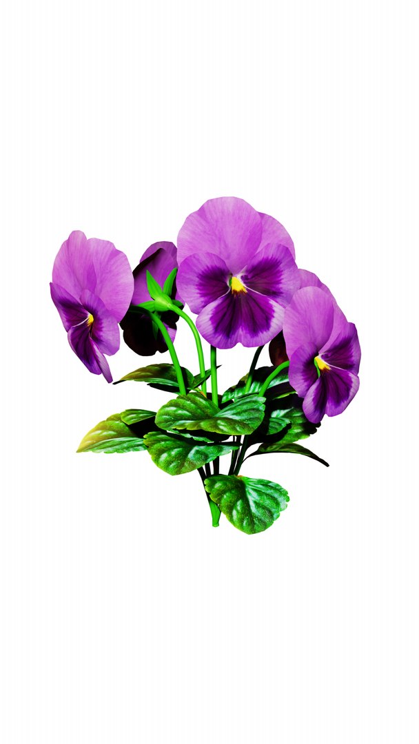 Violet Floer 3D Model - TurboSquid 1941594