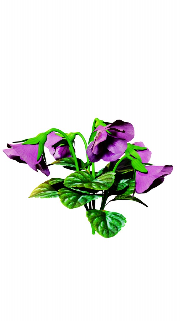 Violet Floer 3D Model - TurboSquid 1941594