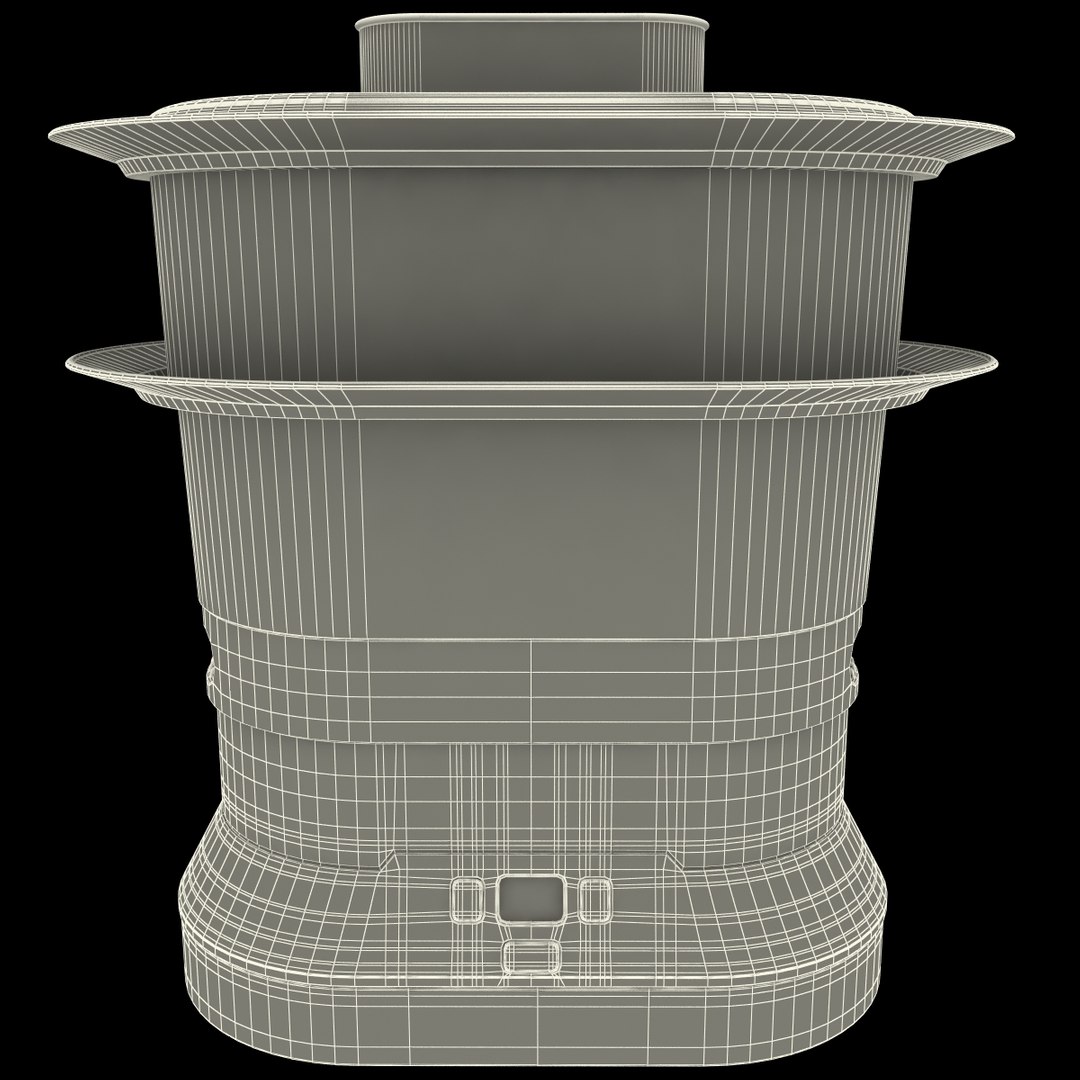 3d 4 quart food steamer model
