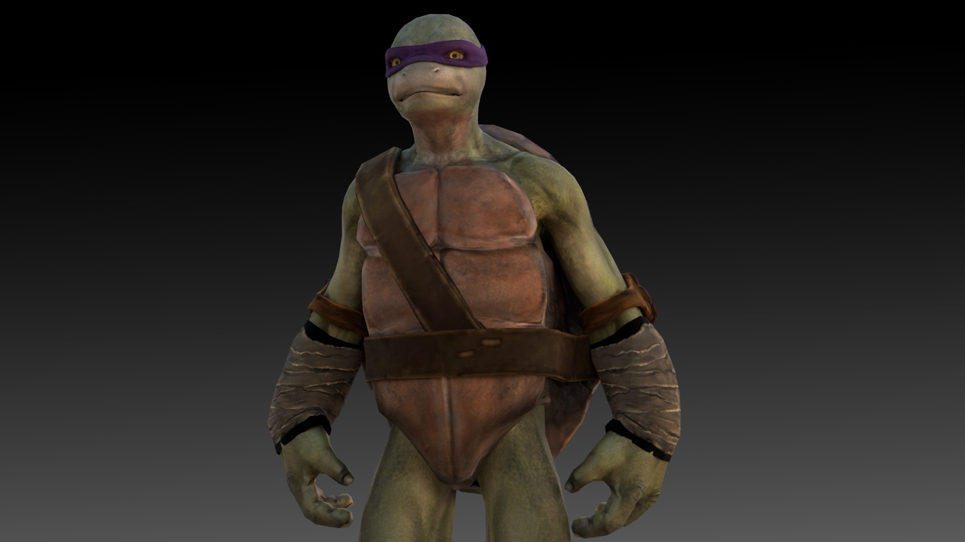 Teenage Mutant Ninja Turtles 3D Model Collection Rigged 3D Model ...
