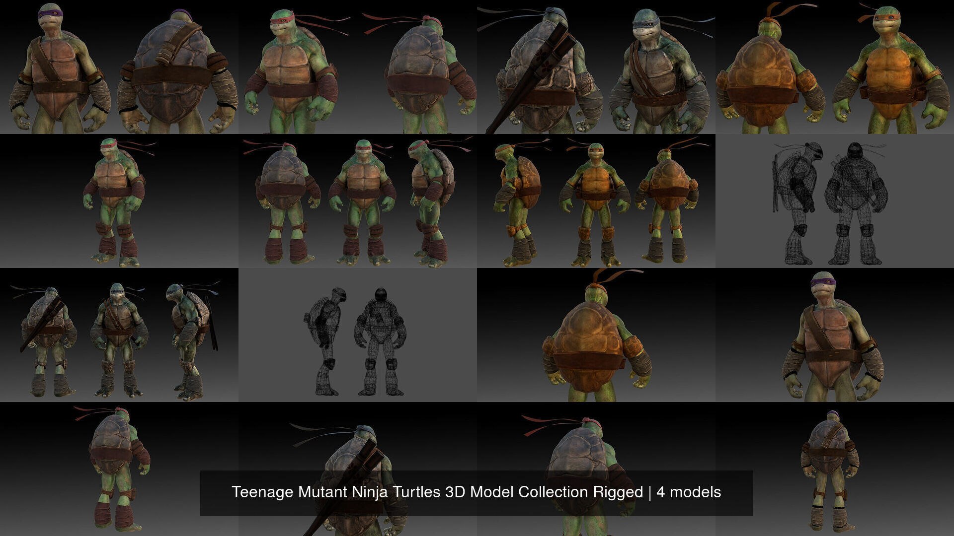 Teenage Mutant Ninja Turtles 3D Model Collection Rigged 3D Model ...