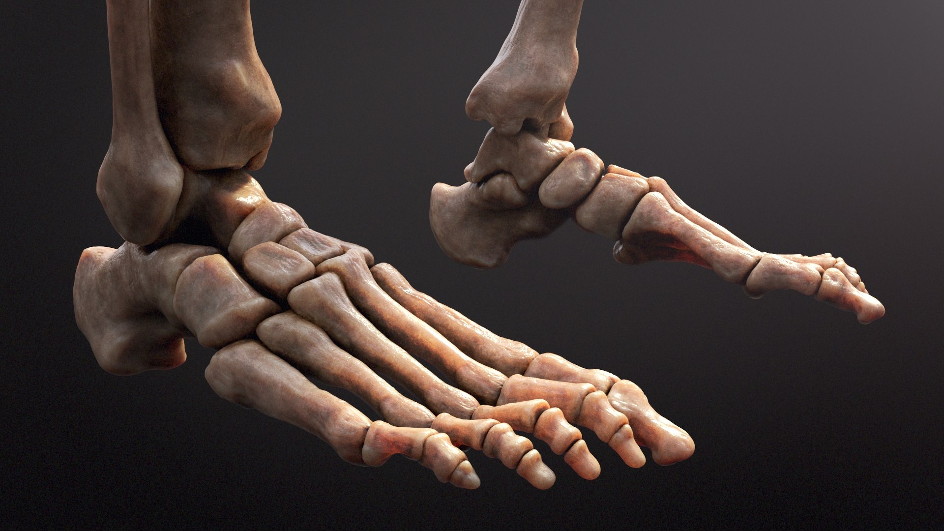 3D Cartoon Skeleton Model - TurboSquid 1713801