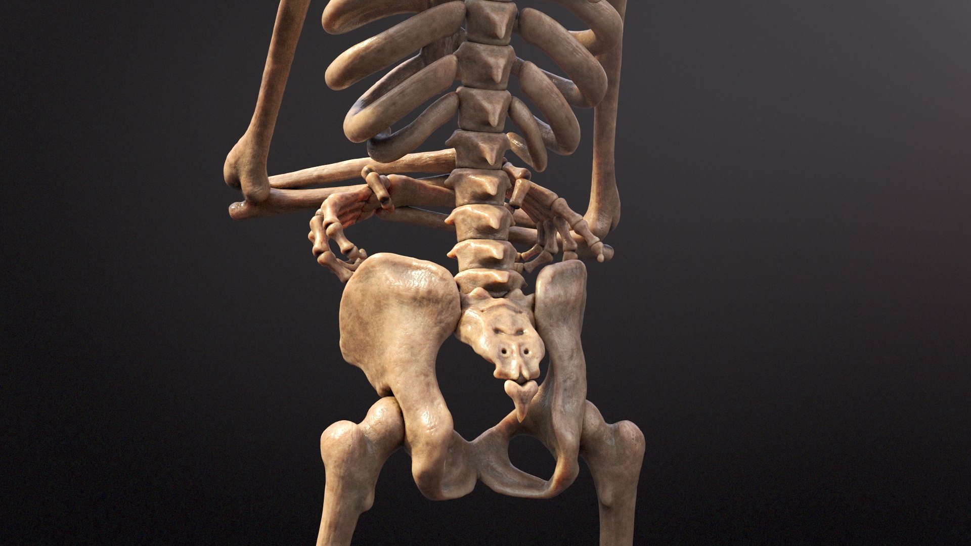 3D Cartoon Skeleton Model - TurboSquid 1713801