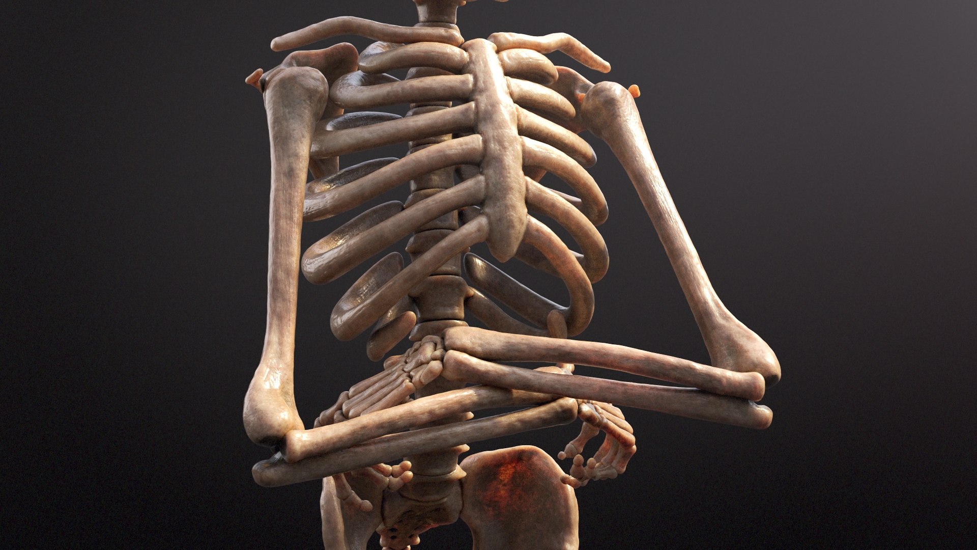 3D Cartoon Skeleton Model - TurboSquid 1713801