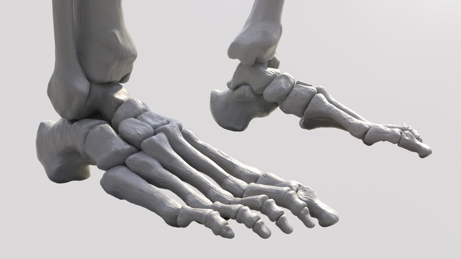 3D Cartoon Skeleton Model - TurboSquid 1713801