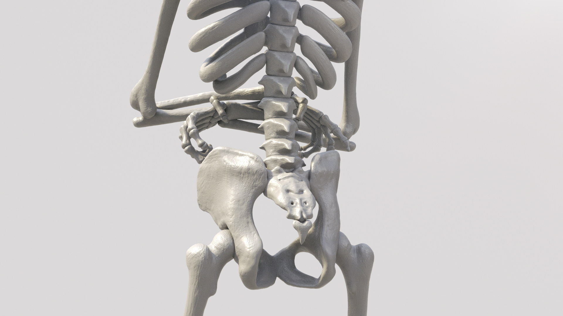 3D cartoon skeleton model - TurboSquid 1713801