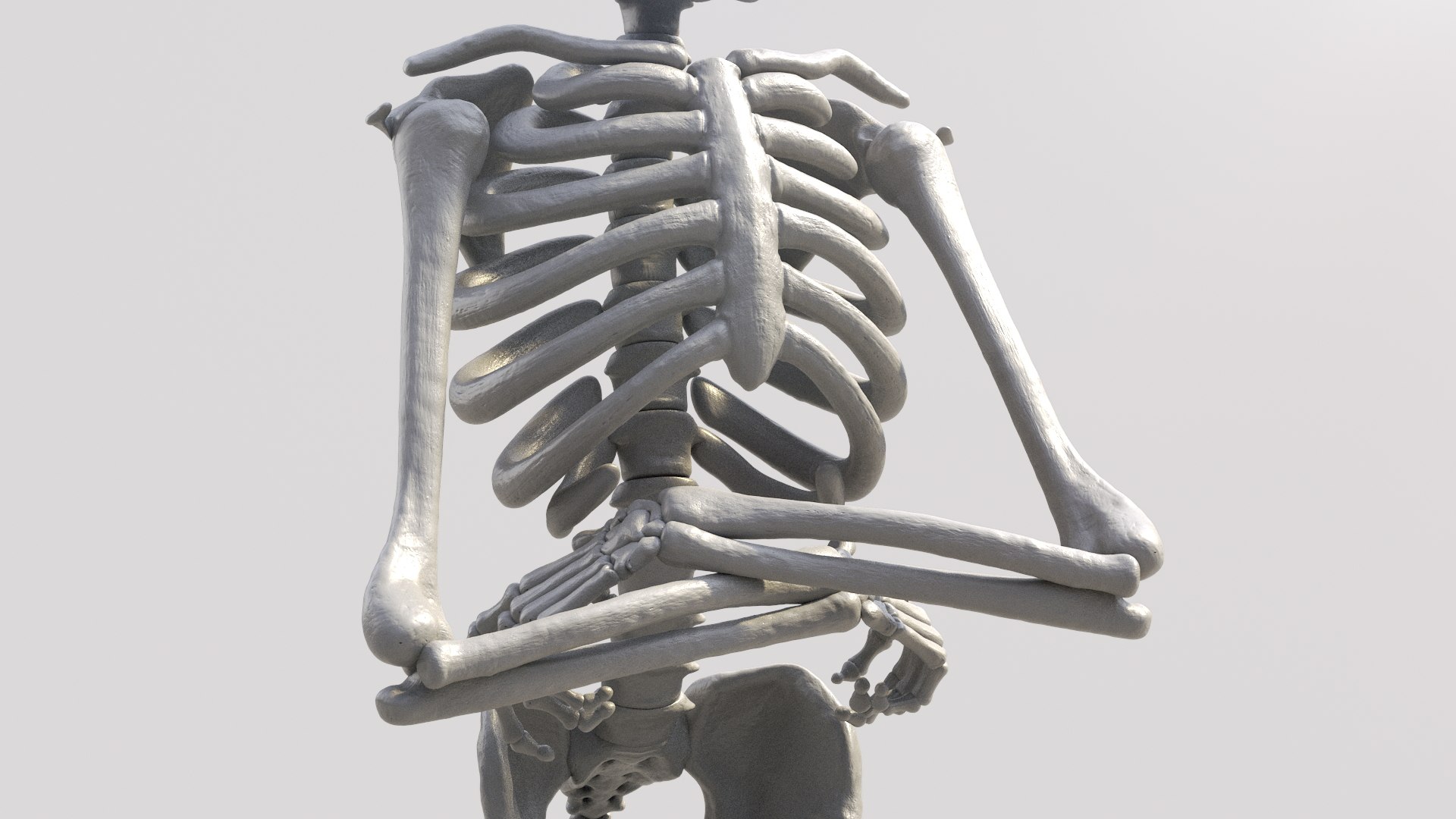 3D Cartoon Skeleton Model - TurboSquid 1713801