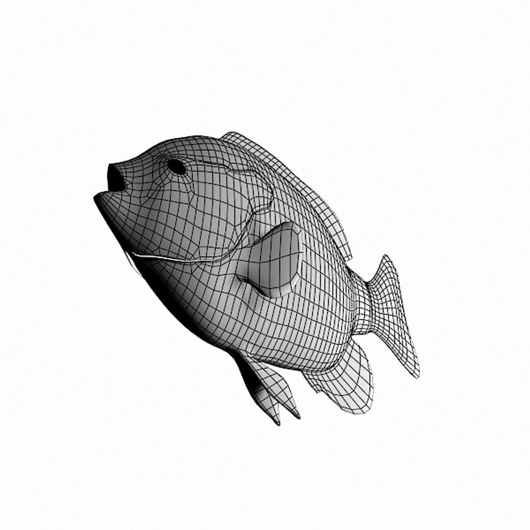 Fish Bluegill 3d Max