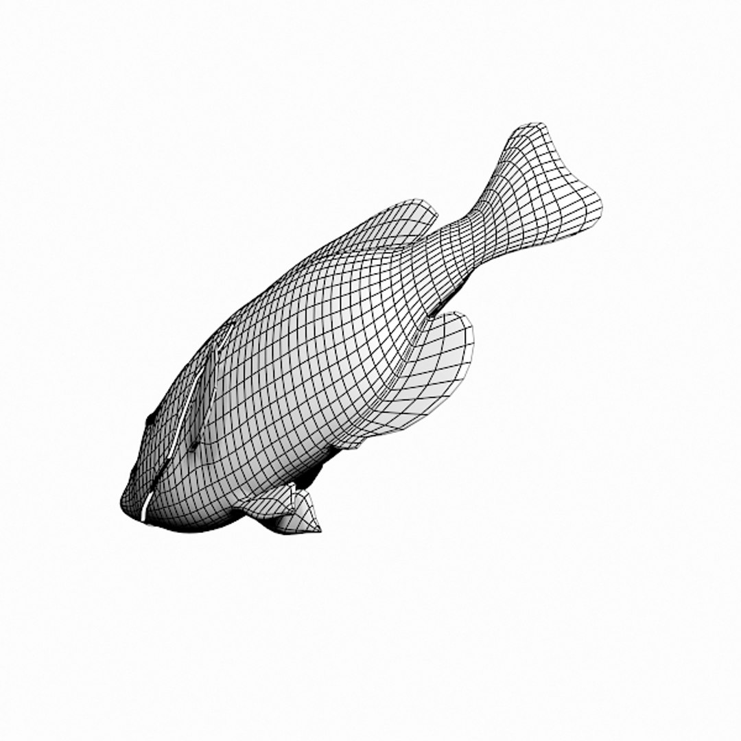 Fish Bluegill 3d Max
