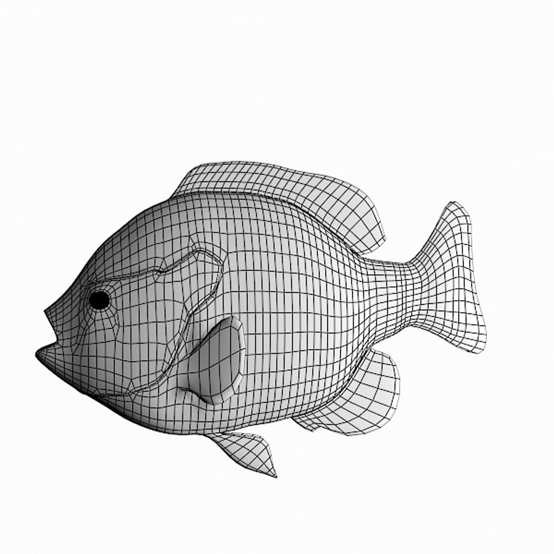 Fish Bluegill 3d Max