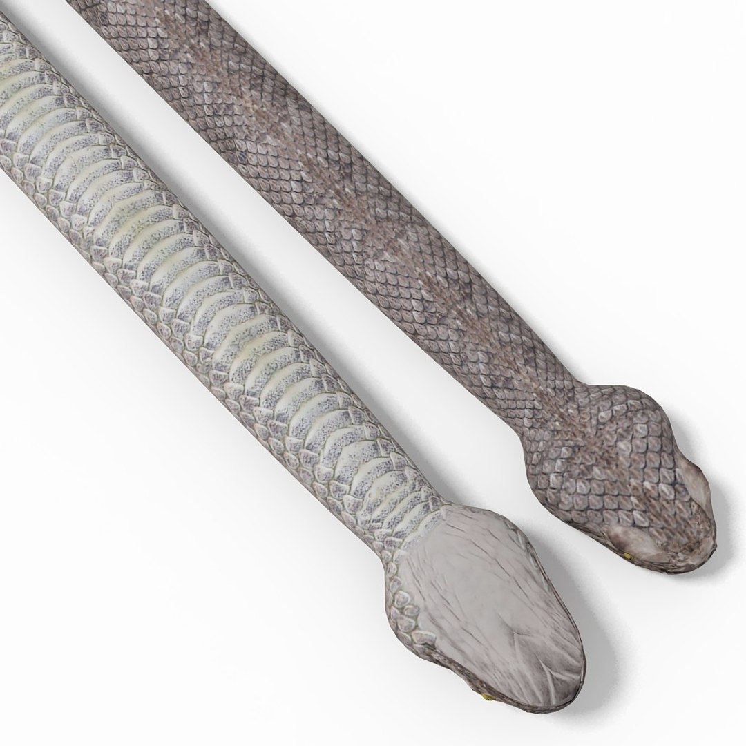 maya rattlesnake ready rigging