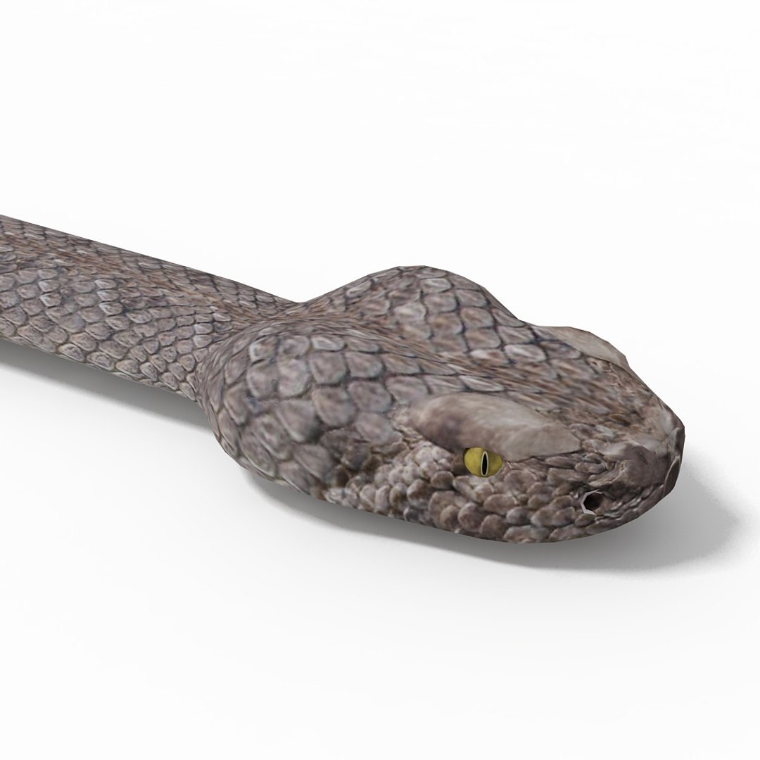maya rattlesnake ready rigging