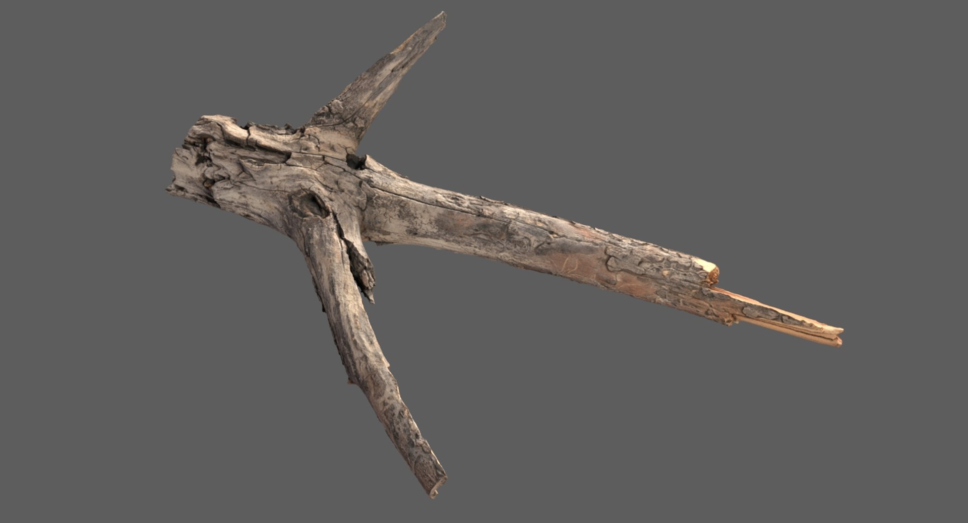 Branch Scanned 3D Model - TurboSquid 1420295