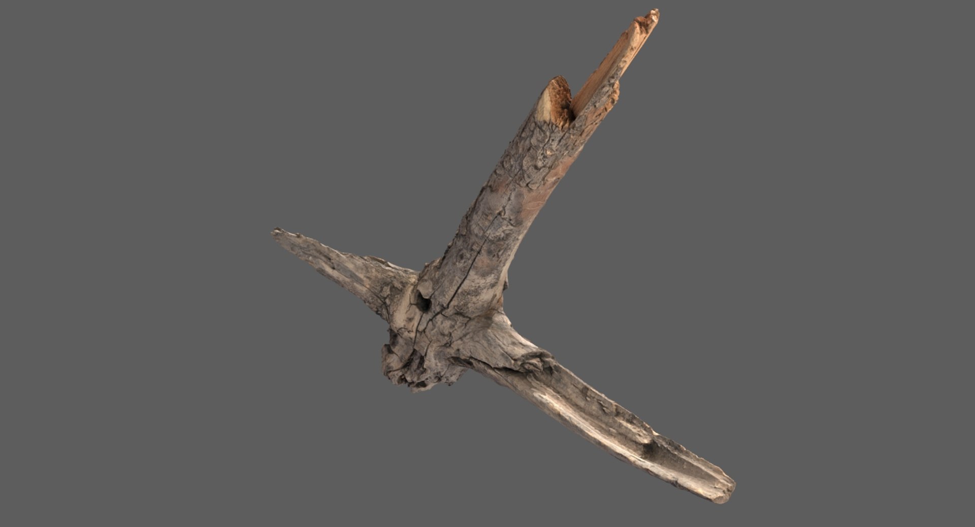 Branch Scanned 3D Model - TurboSquid 1420295