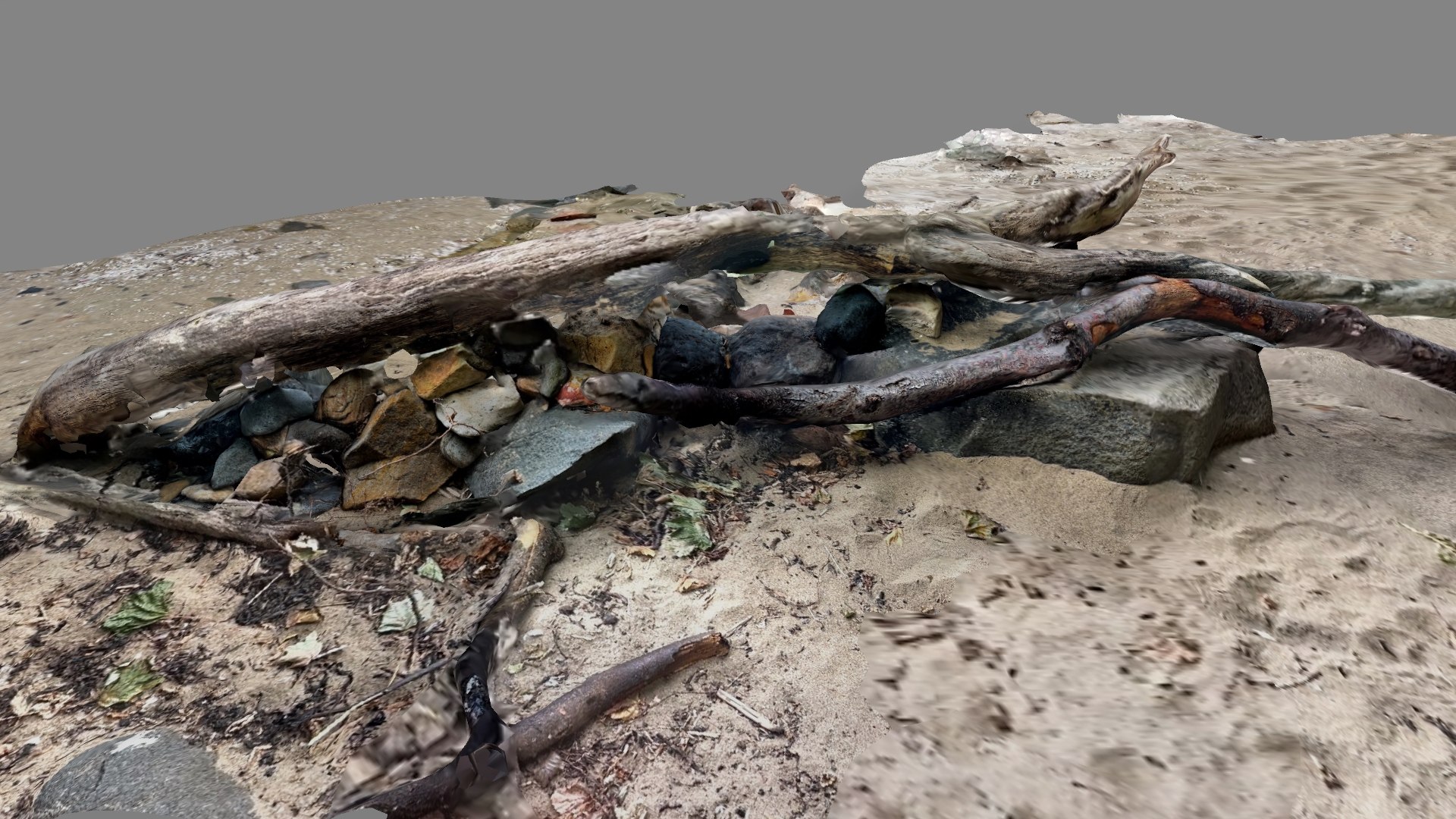 Beach Trees And Rocks Branches On Sand Model - TurboSquid 1983799