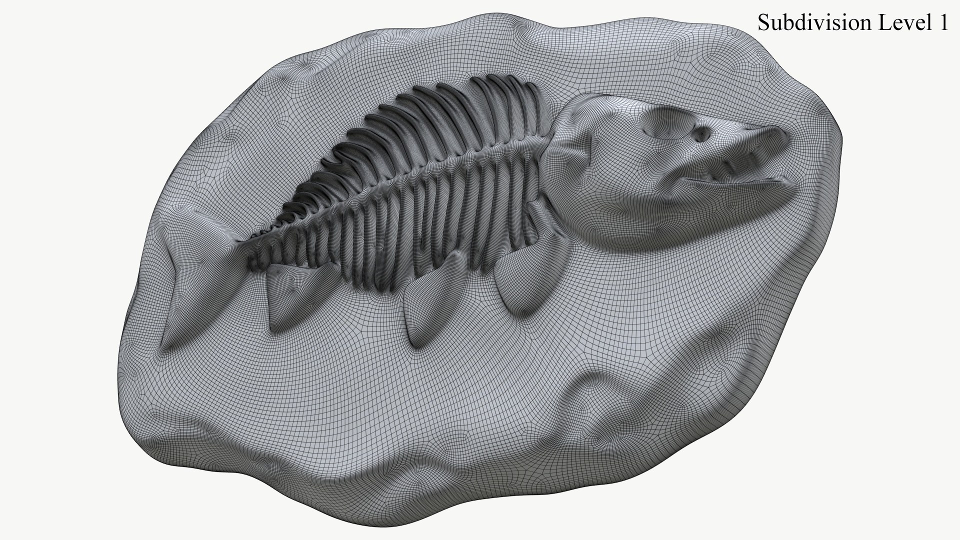 3D Model Prehistoric Fish Skeleton Fossil 021 Textured - TurboSquid 2303016