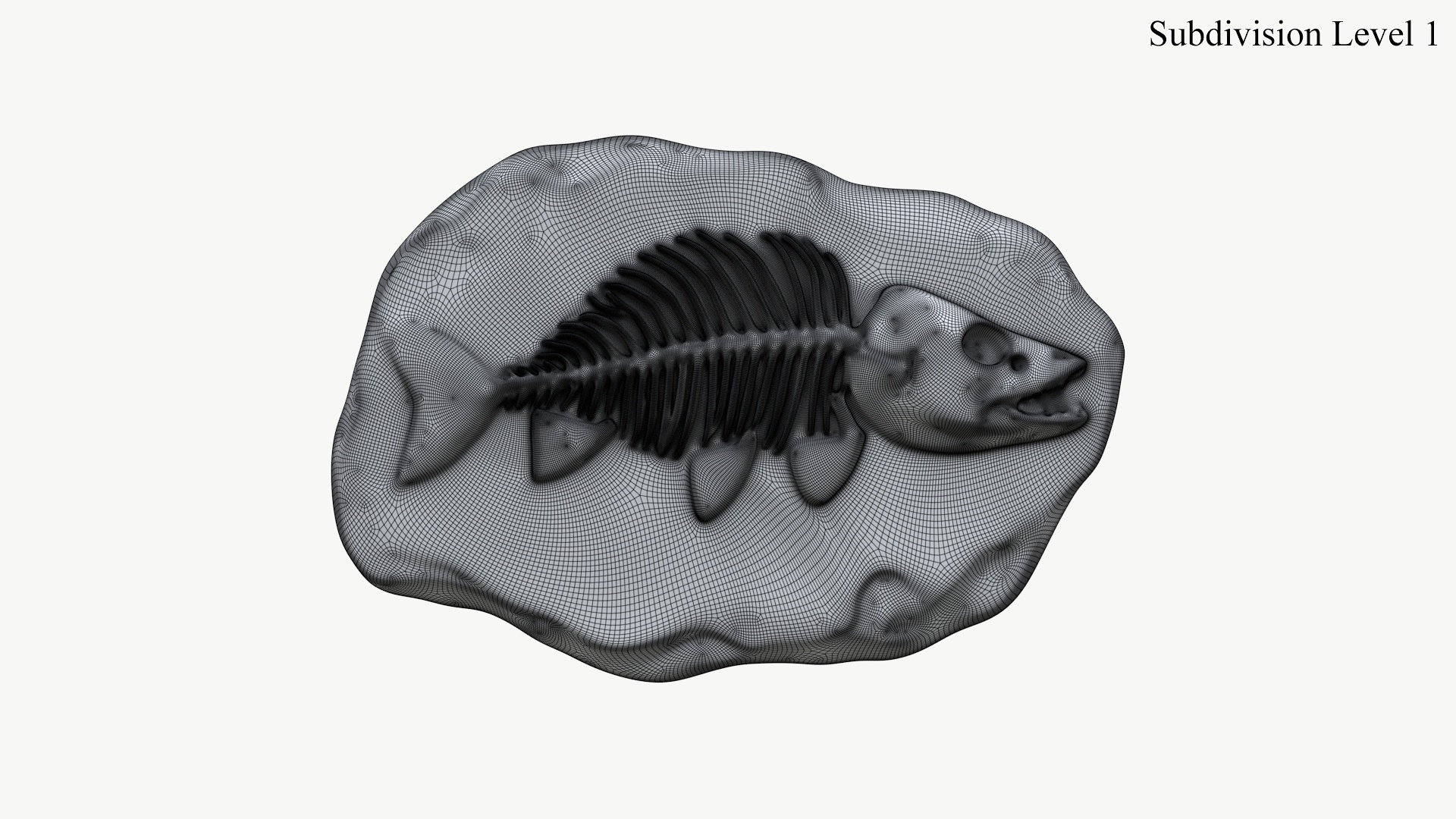 3D Model Prehistoric Fish Skeleton Fossil 021 Textured - TurboSquid 2303016