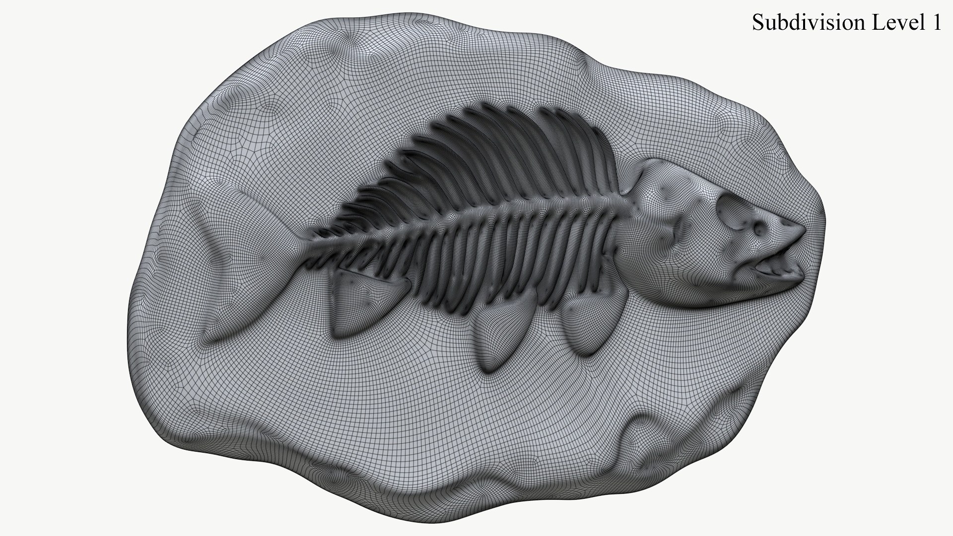 3D Model Prehistoric Fish Skeleton Fossil 021 Textured - TurboSquid 2303016