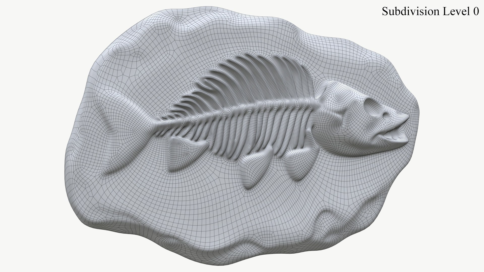3D Model Prehistoric Fish Skeleton Fossil 021 Textured - TurboSquid 2303016