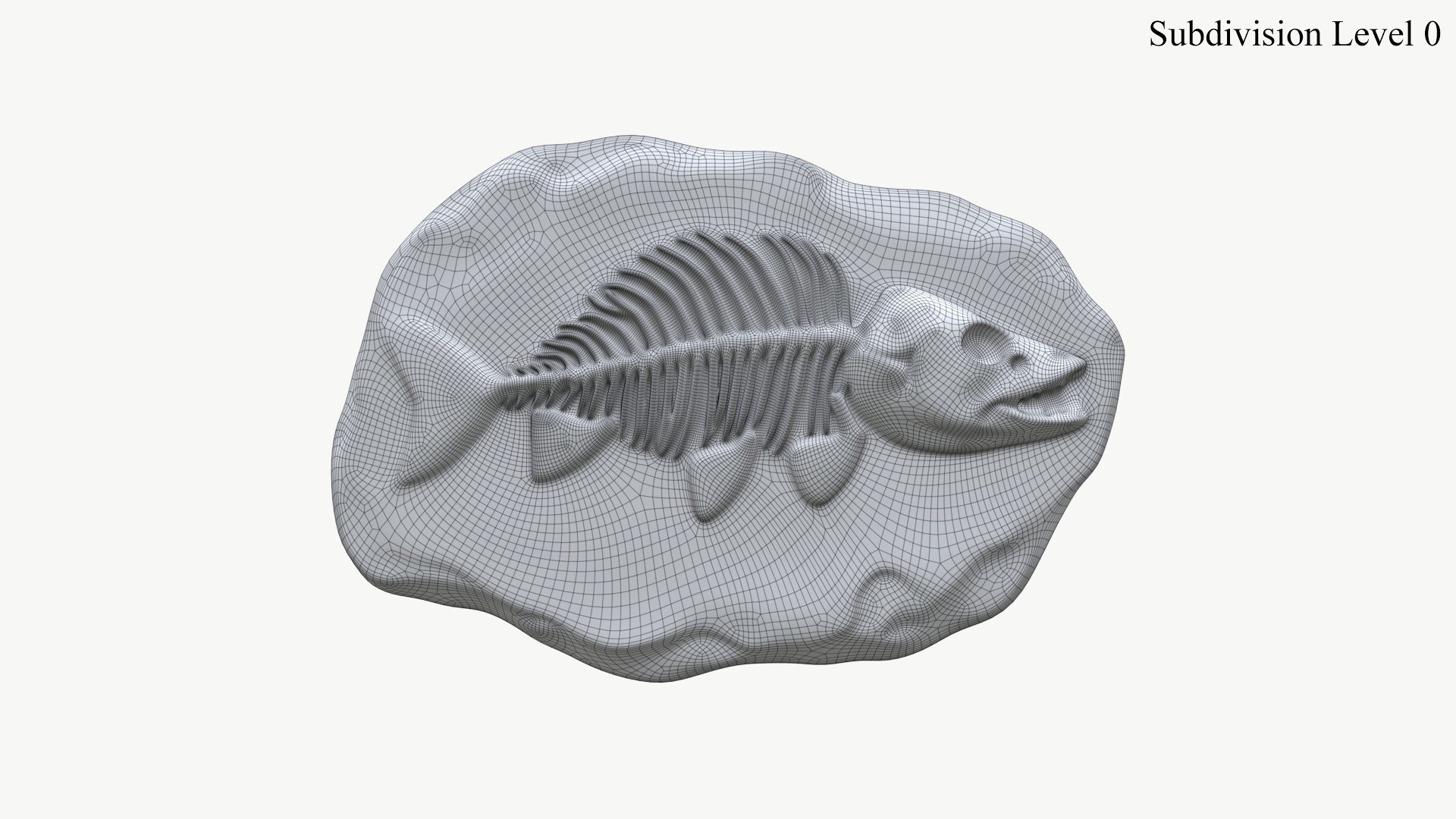 3D Model Prehistoric Fish Skeleton Fossil 021 Textured - TurboSquid 2303016