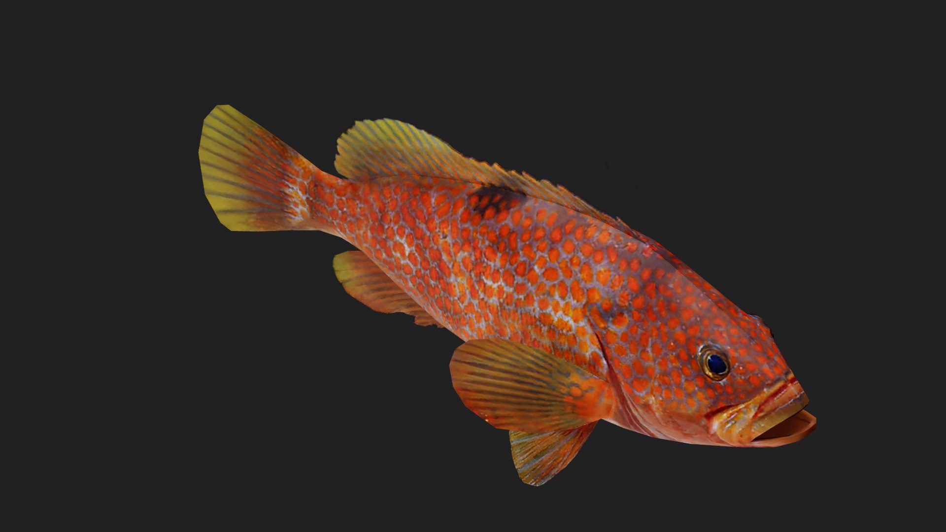 Bass Fish 3D - TurboSquid 2123258
