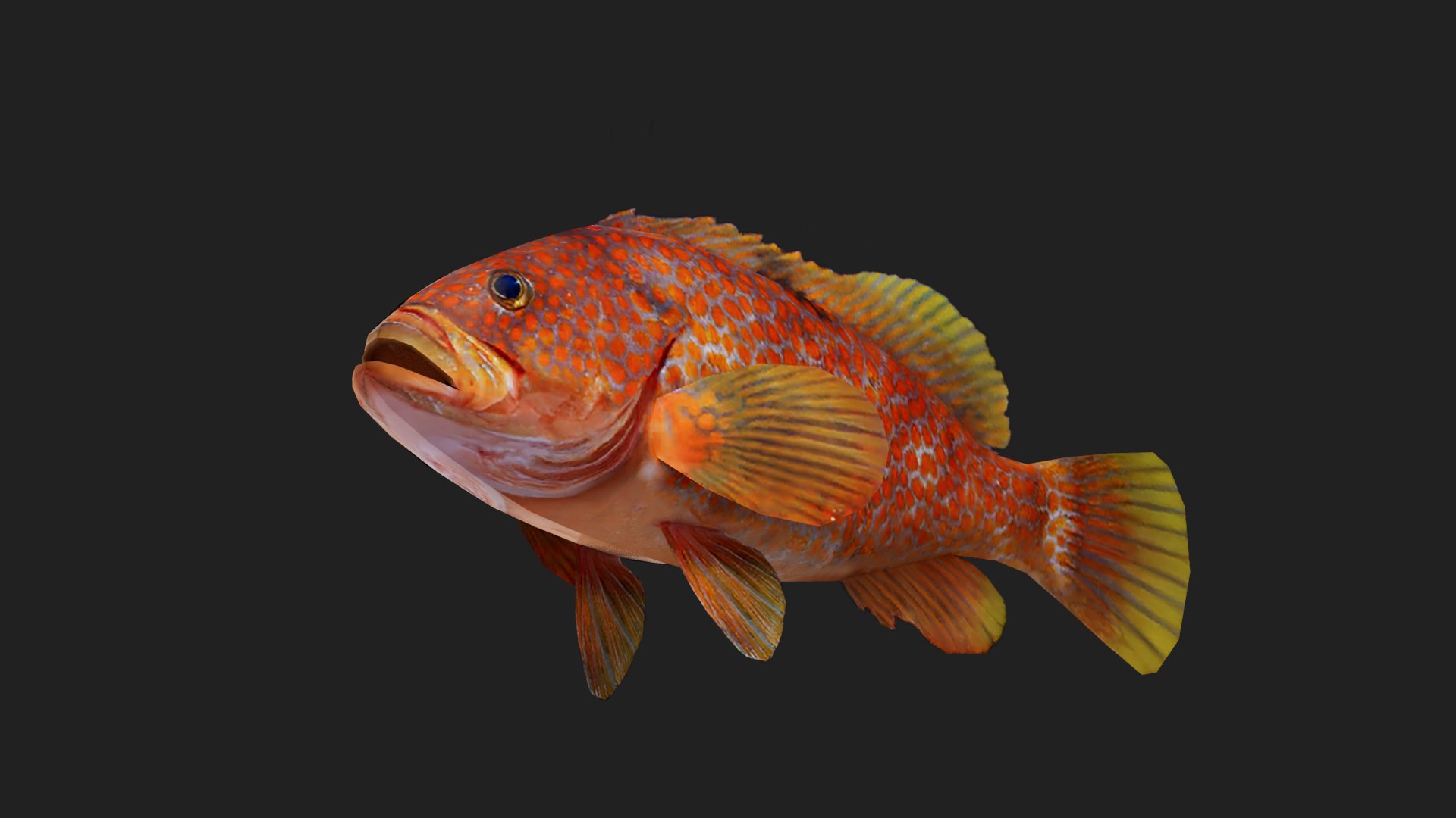 Bass Fish 3D - TurboSquid 2123258