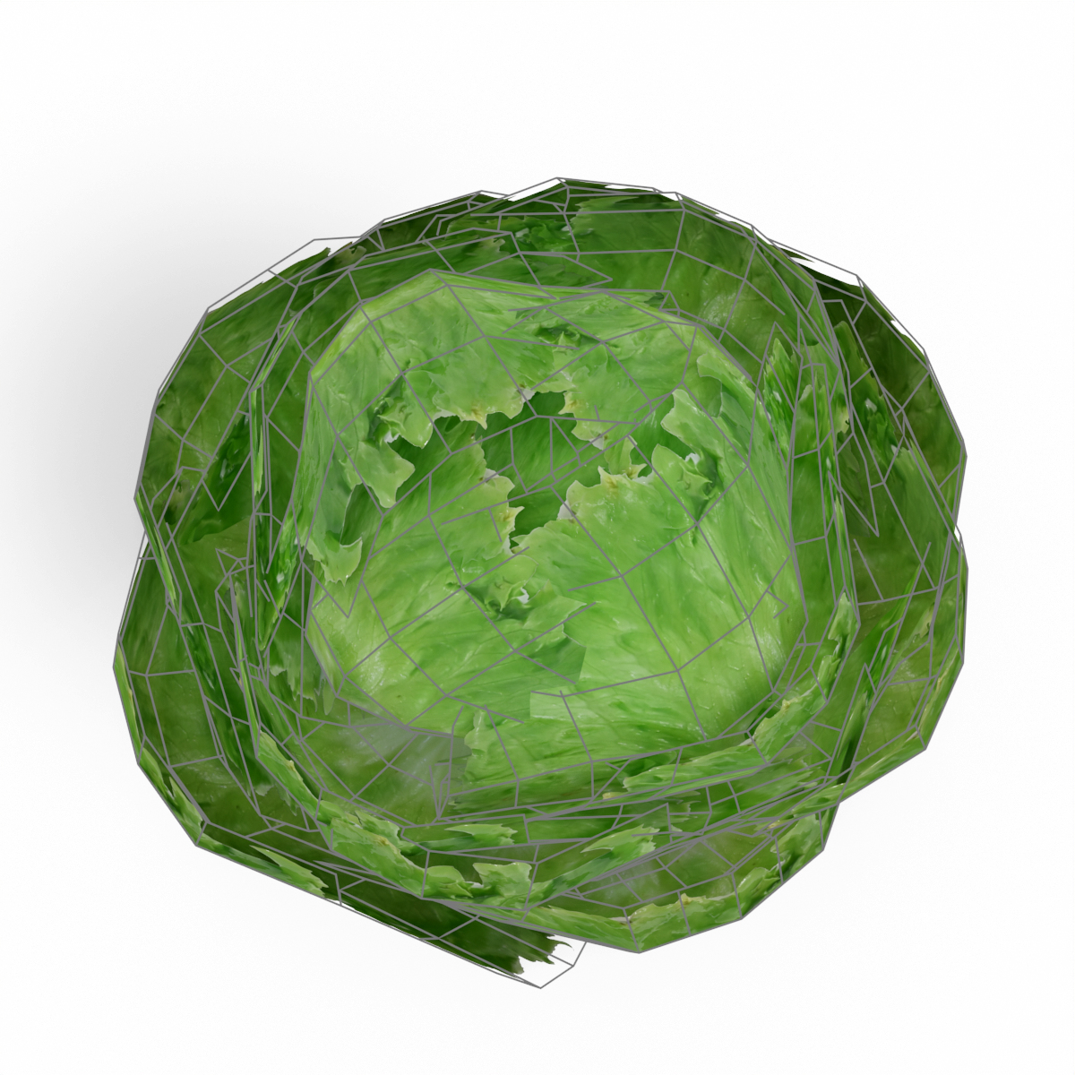 Lettuce 3D model - TurboSquid 1523947