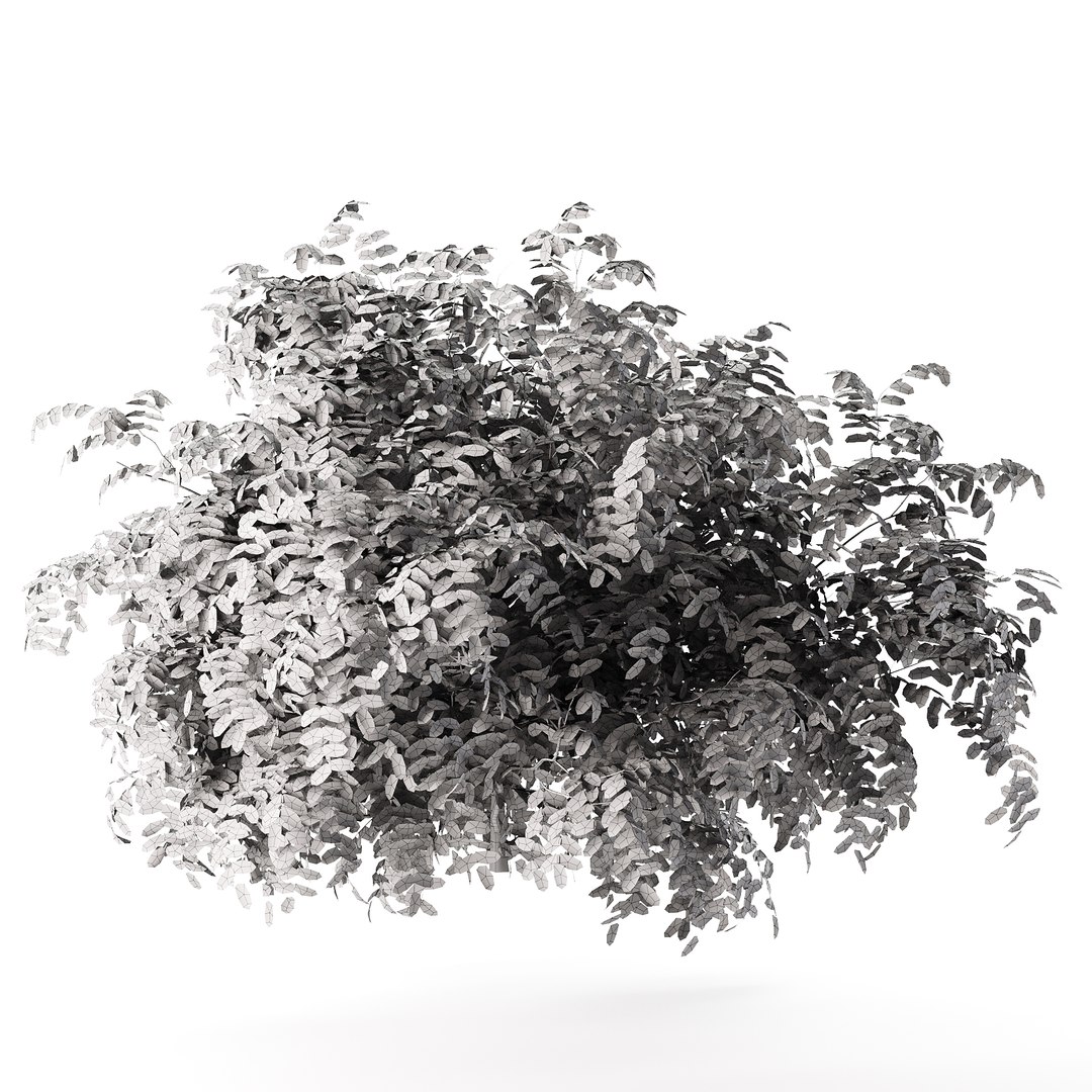 Realistic Summer And Fall Shrubbery Bush 3D Model - TurboSquid 2140827