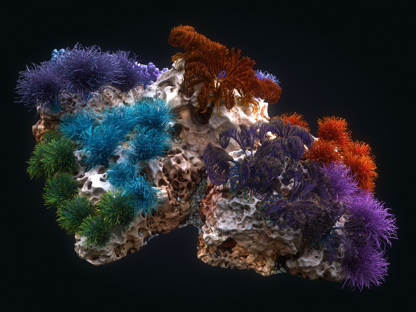 Coral reef ecosystem pack 3D model - TurboSquid 1368596