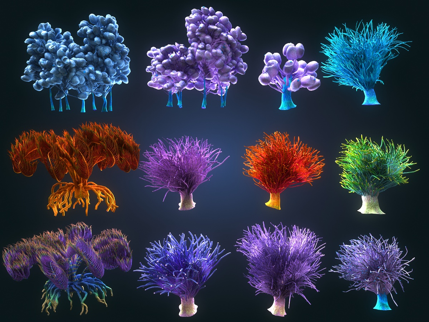 Coral reef ecosystem pack 3D model - TurboSquid 1368596